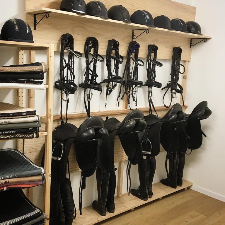 Tack Room Ideas: Using & Organizing | LearningHorses.com
