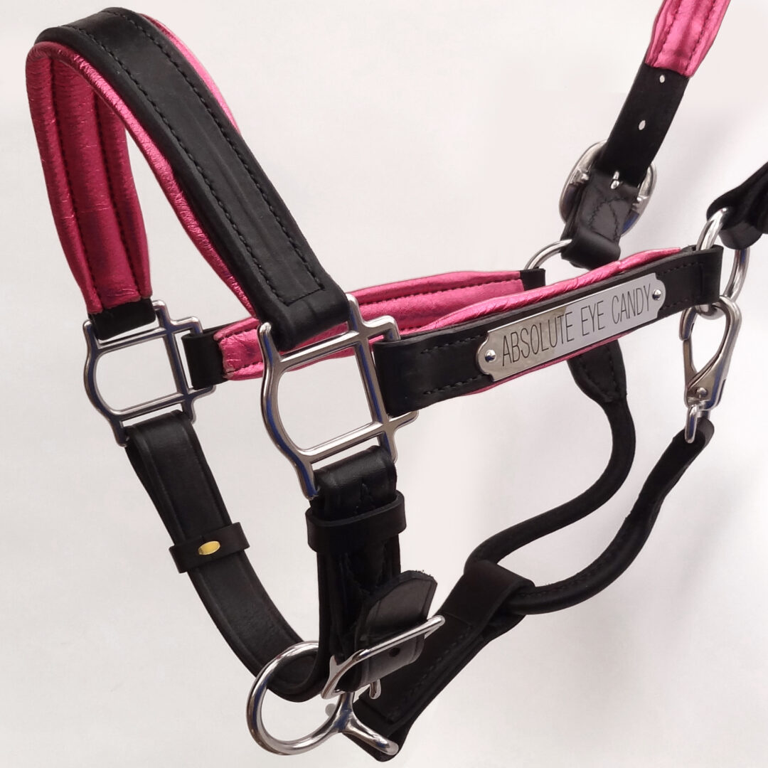 Pros & Cons of Leather Horse Halters | LearningHorses.com