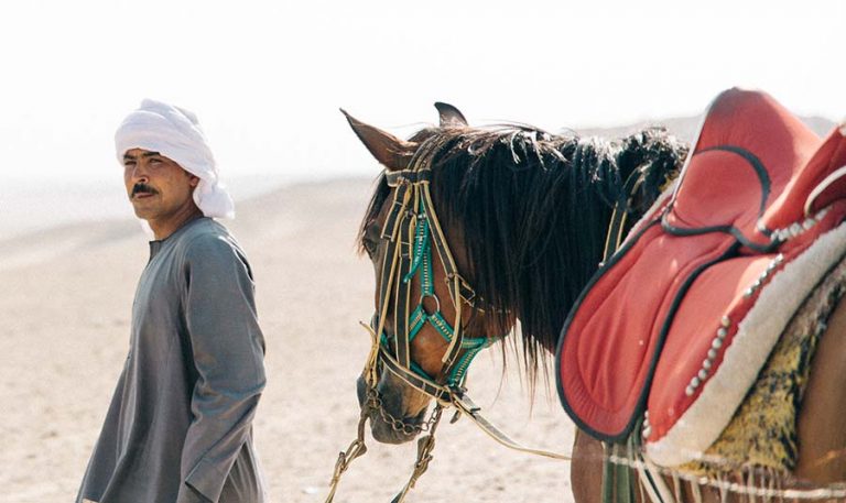 English vs. Western Horseback Riding: Explained | LearningHorses.com