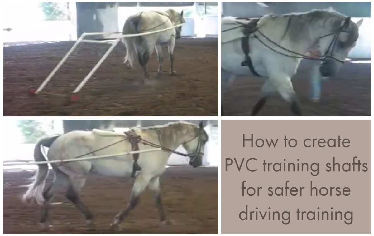 Teaching a Horse to Drive using a DIY Training Cart | LearningHorses.com