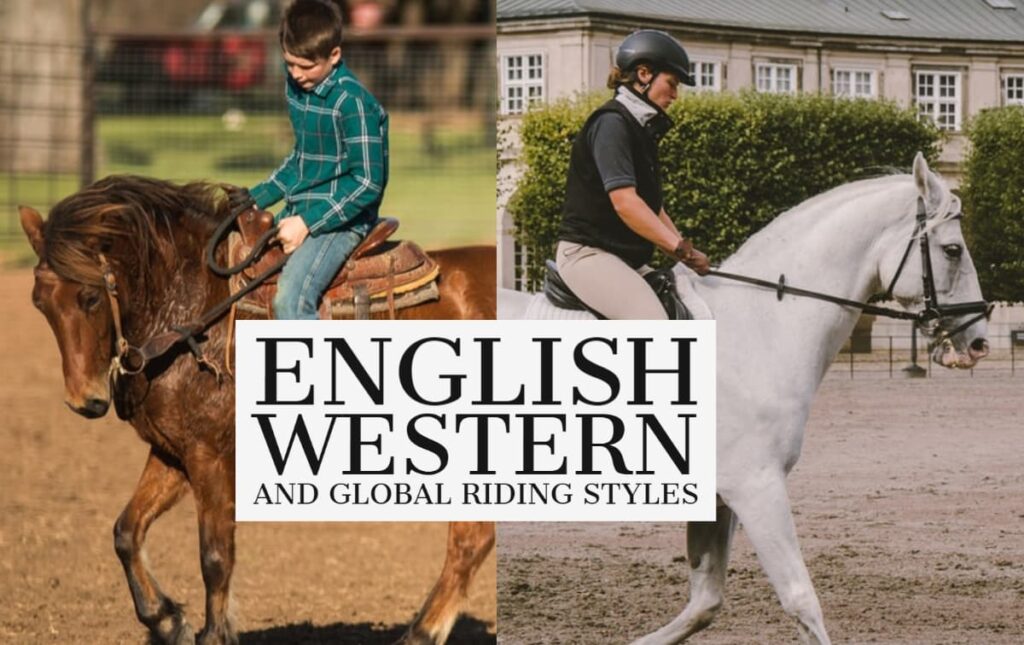 English vs. Western Horseback Riding: Explained | LearningHorses.com