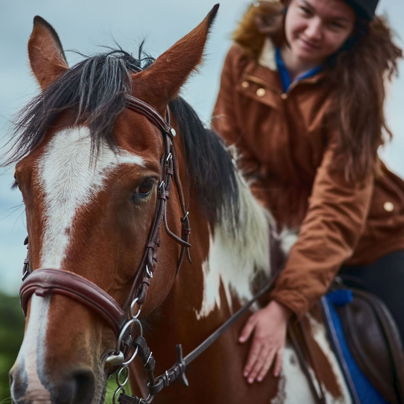 Horse Jobs that Pay Well: 8 Surprising High-Income Equine Careers ...