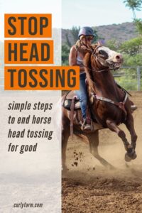 Simple Tips to End Horse Head Tossing and Throwing | LearningHorses.com
