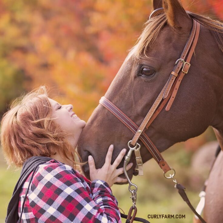 Horse Hands: Understanding Horse Height Measurements | LearningHorses.com