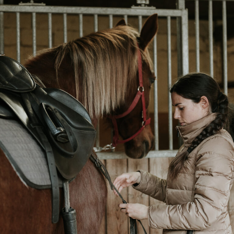 Tacking Up A Horse: What it Means & How to Do It | LearningHorses.com