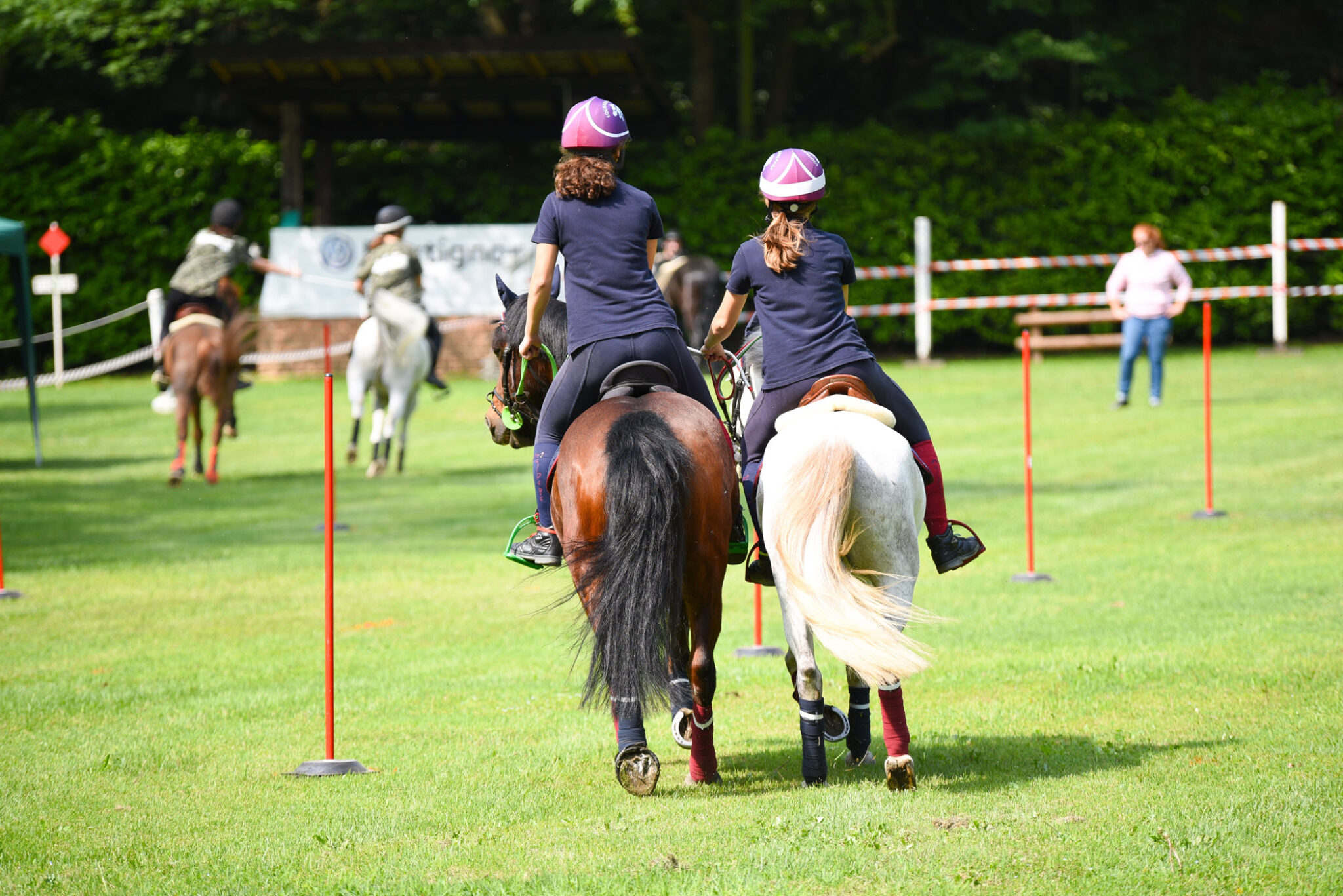 11 Easy Games on Horseback for Beginners: Games for Riding Lessons ...