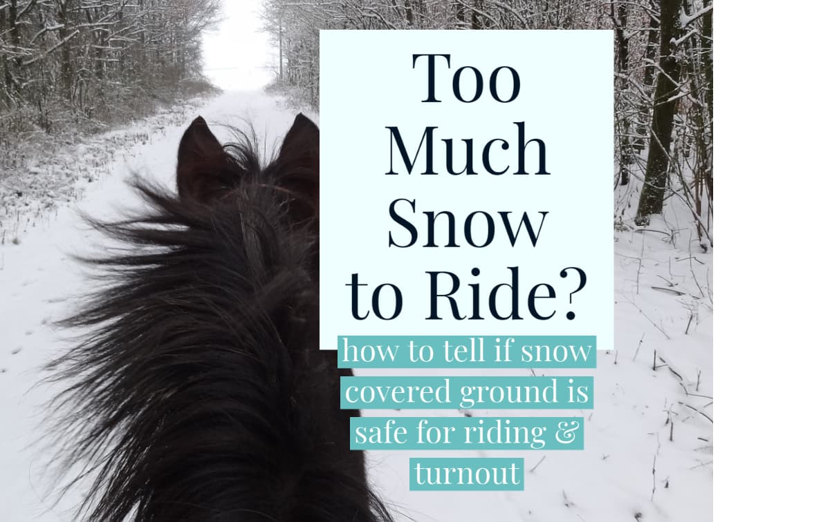 Riding Horses in Snow: What You Need to Know | LearningHorses.com