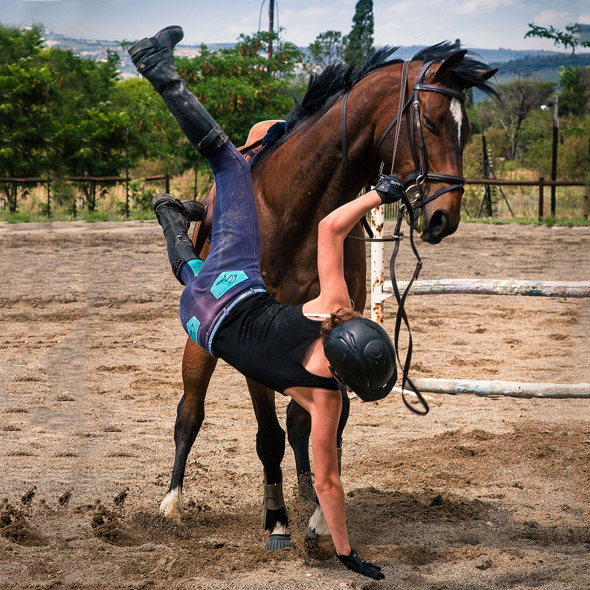 Why a Horse Foaming at the Mouth is a Good Thing | LearningHorses.com