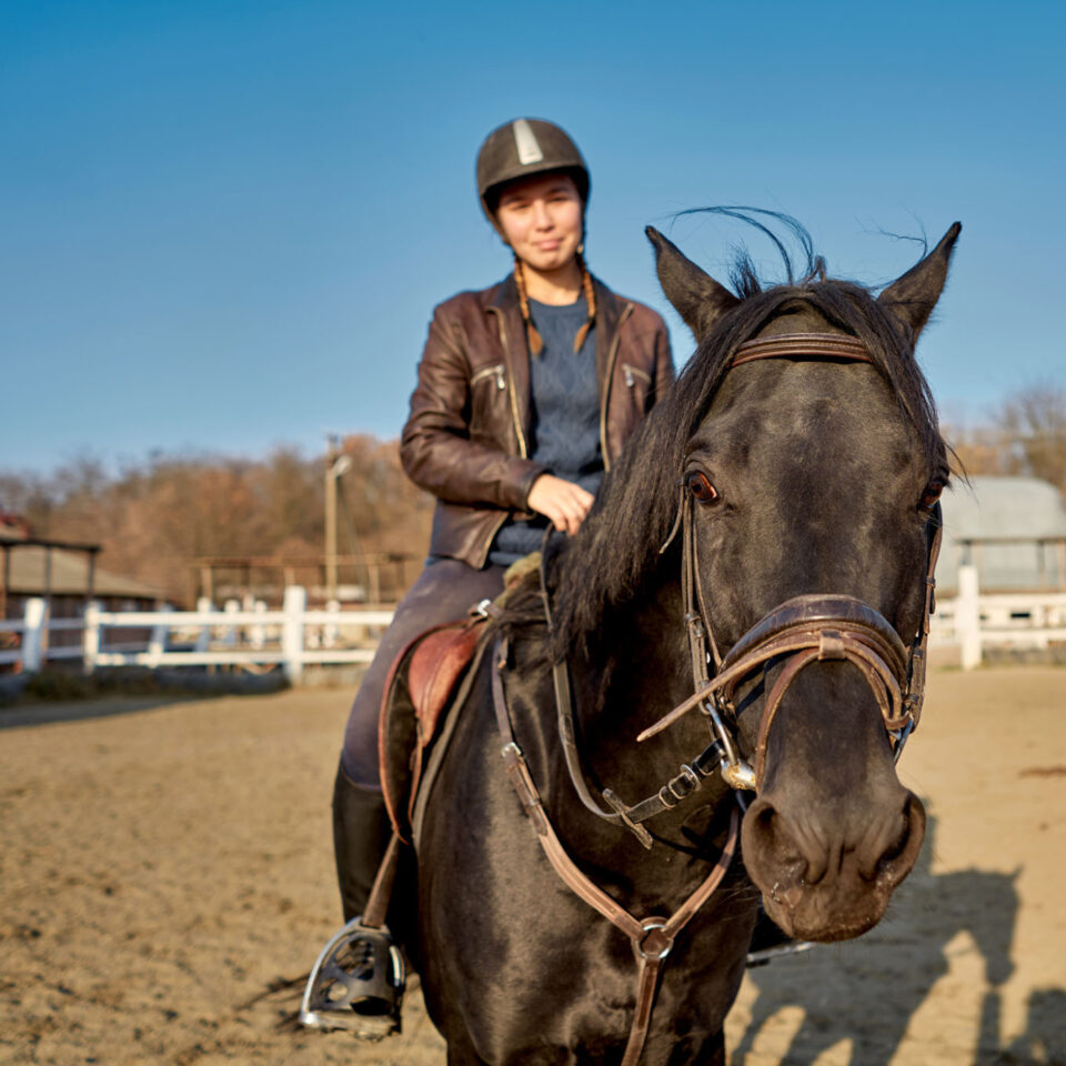How to Trim a Horse’s Mane: Horse Haircut | LearningHorses.com