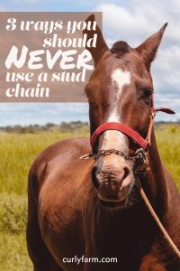 3 Big Mistakes Horse Owners make with Stud Chains | LearningHorses.com