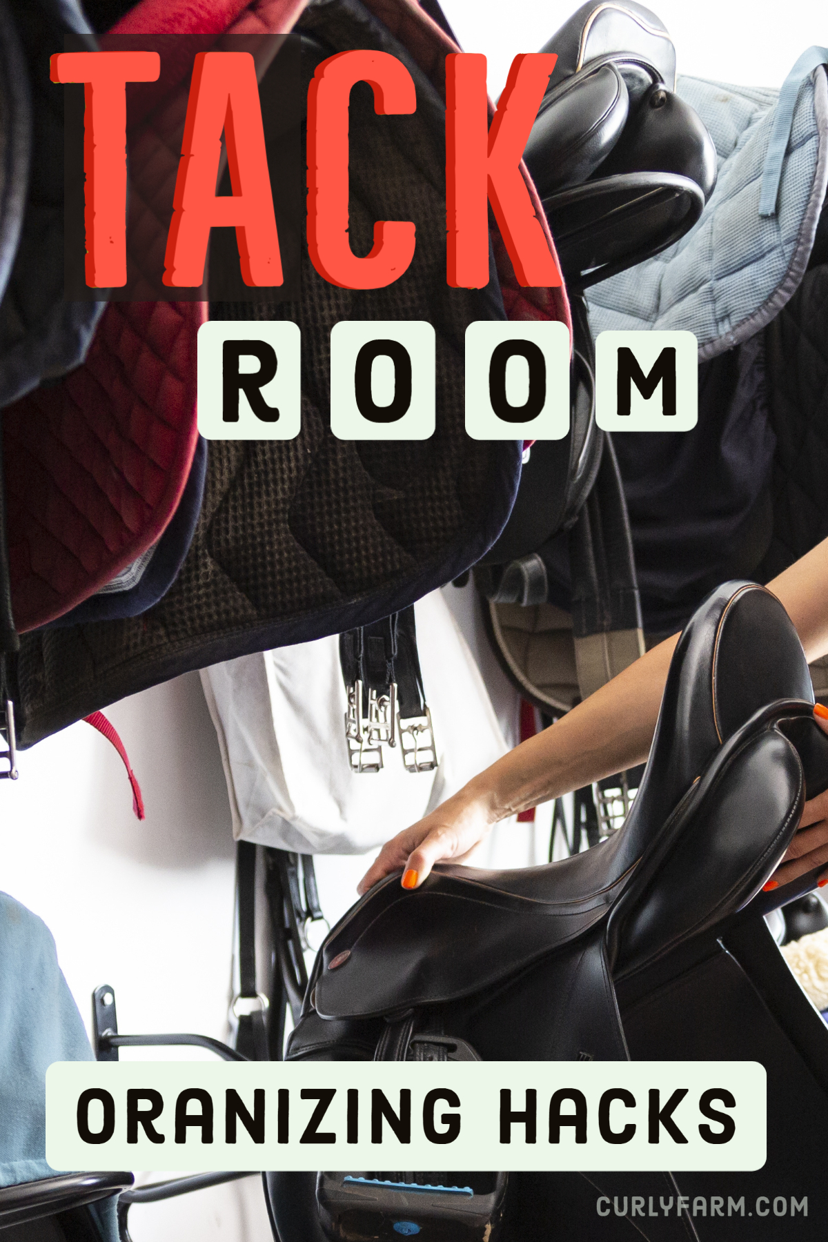 Tack Room Ideas: Using & Organizing | LearningHorses.com