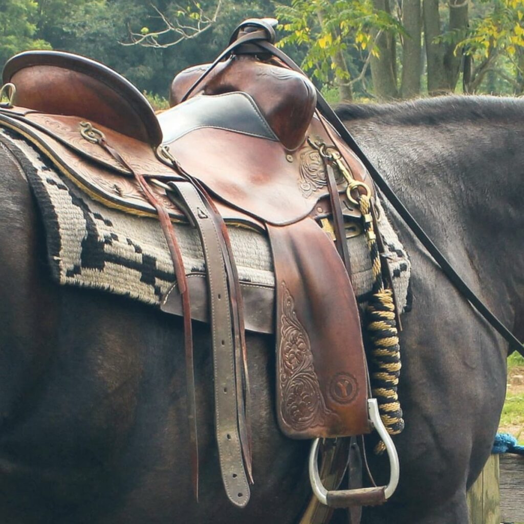 Tacking Up A Horse: What it Means & How to Do It | LearningHorses.com