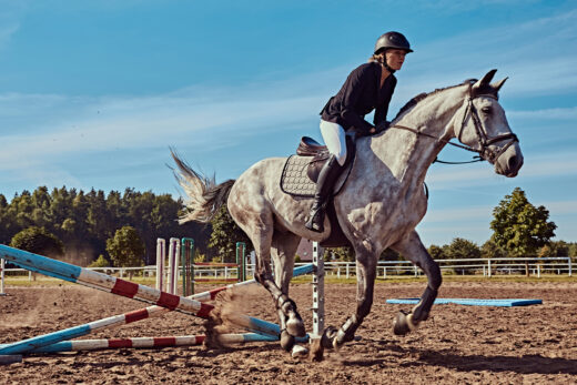 Grey Horses - Grooming, Genetics, & Care | LearningHorses.com