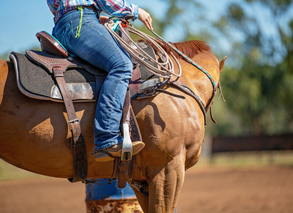What is a Beginner, Intermediate, and Advanced Horseback Rider ...