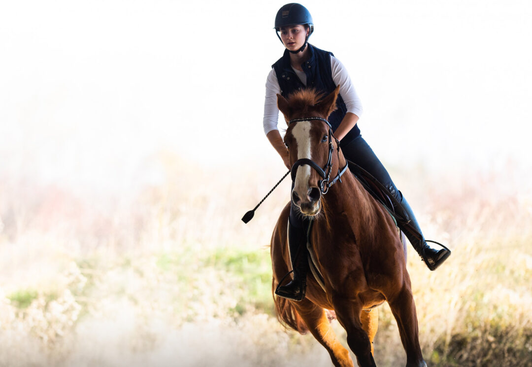 Learning to Canter: 5 Mistakes Riders Make | LearningHorses.com