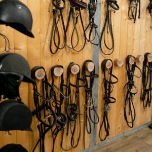 Tack Room Ideas: Using & Organizing | LearningHorses.com