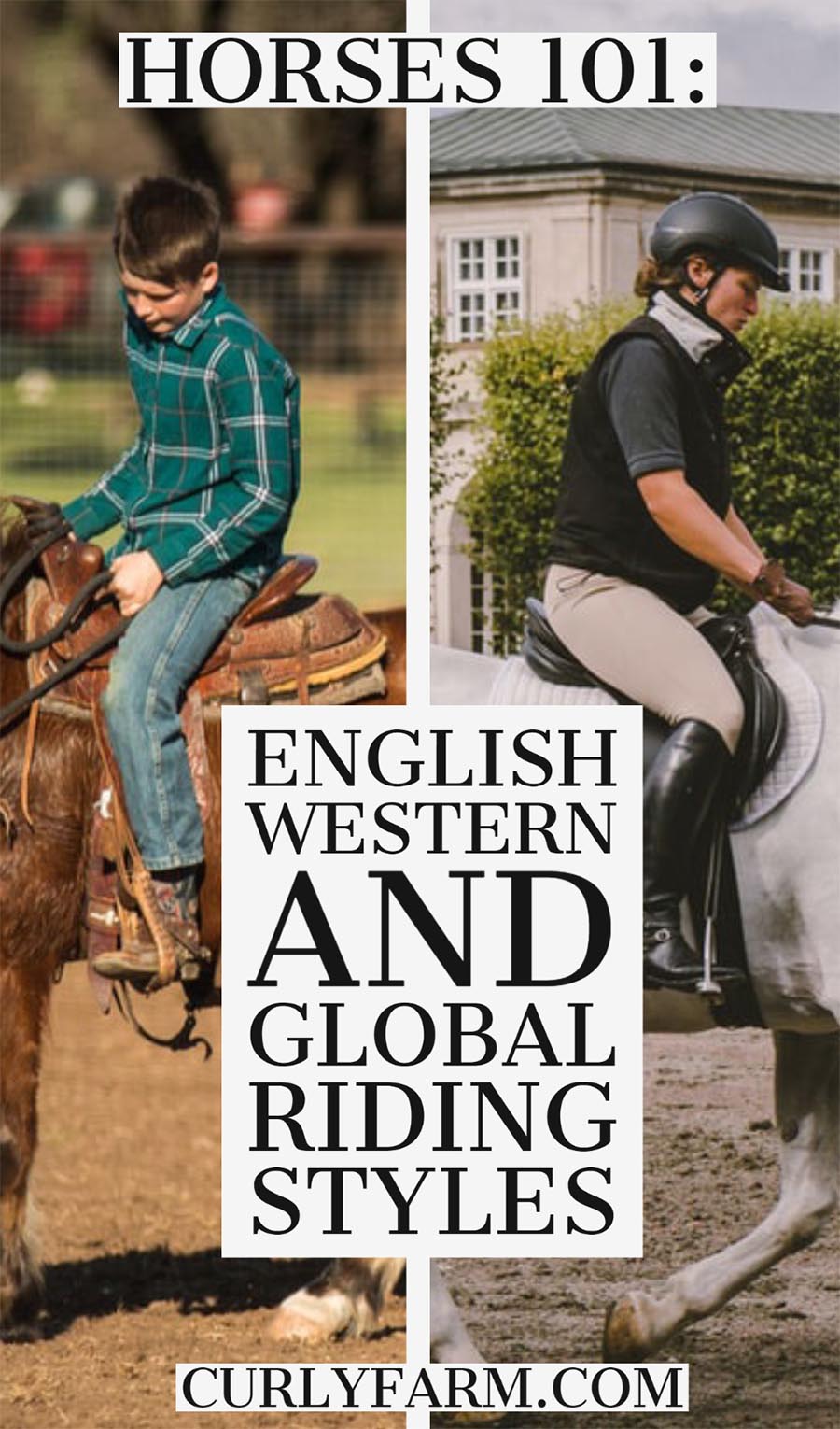 Differences Between English & Western Horseback Riding | LearningHorses.com
