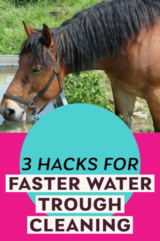 Horse Water Troughs: Cleaning, Choosing, & Using | LearningHorses.com