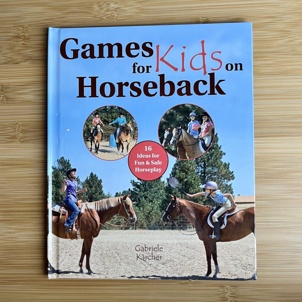 6 Fun Riding Lesson Ideas to Keep Riders Engaged | LearningHorses.com