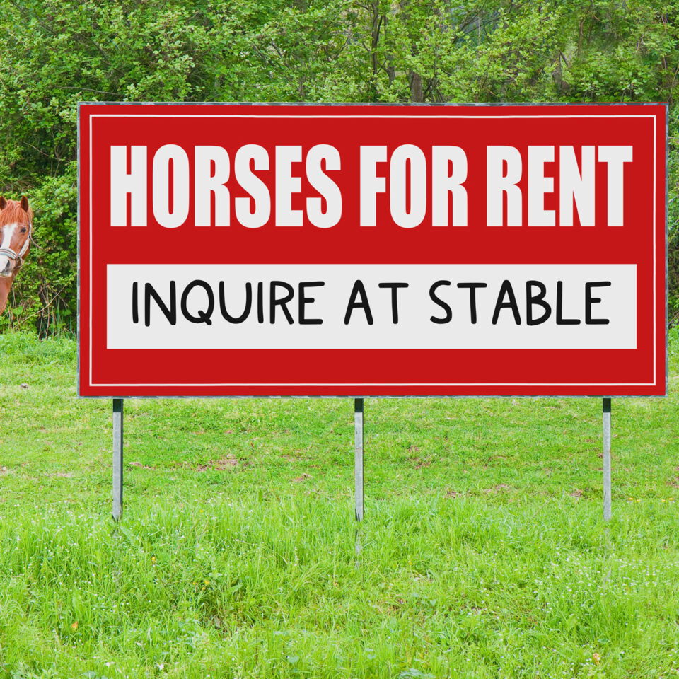 Horseback Riding with Lower Back Pain: Strategies to Ride on ...