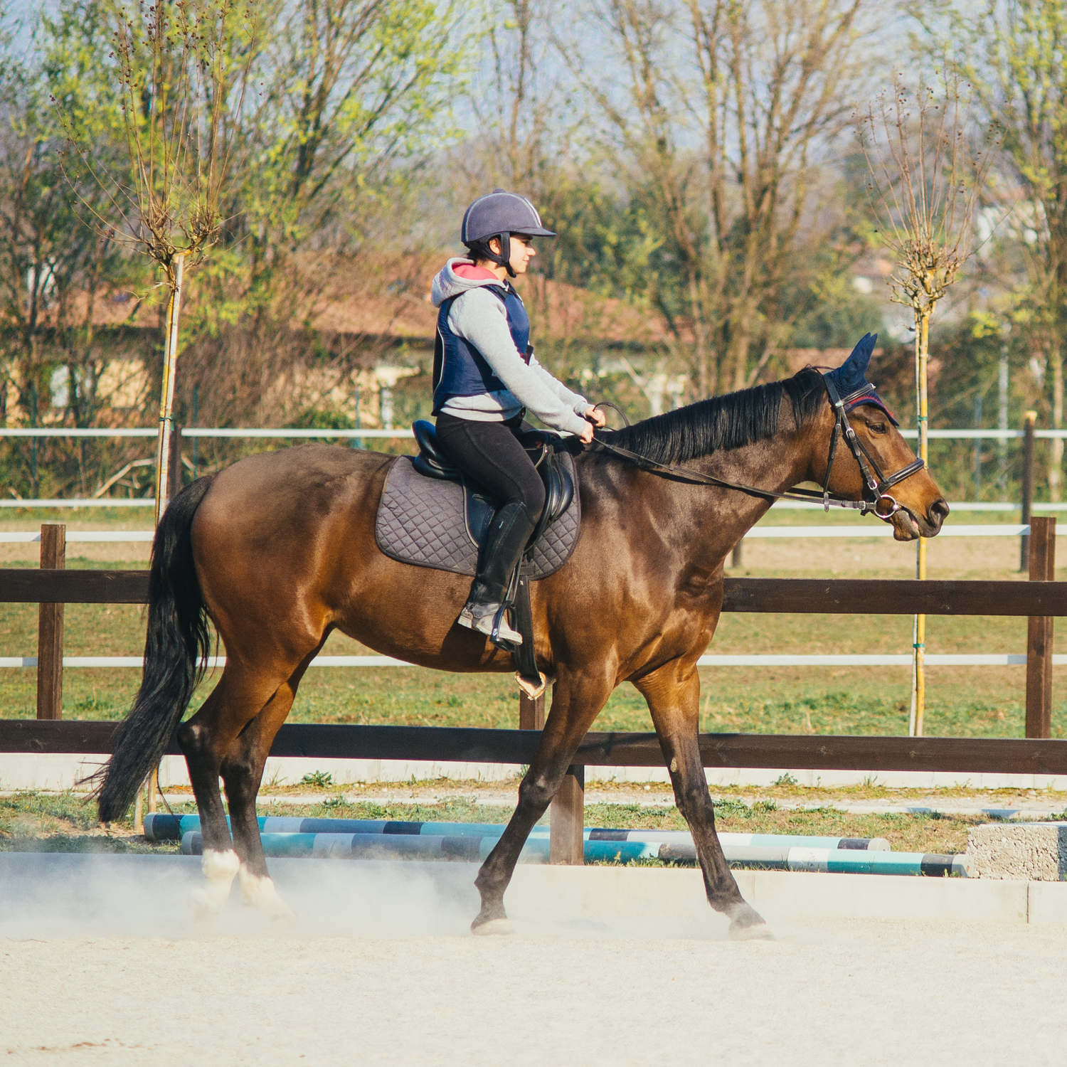 Horseback Riding with Lower Back Pain: Strategies to Ride on ...
