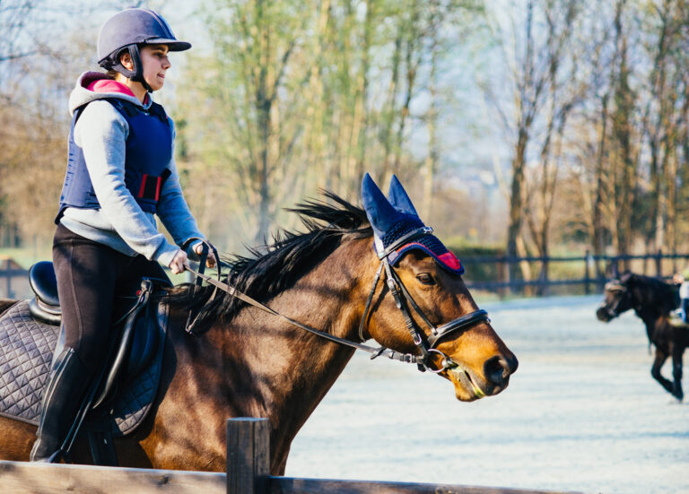 Your First Time Riding a Horse: What to Expect | LearningHorses.com