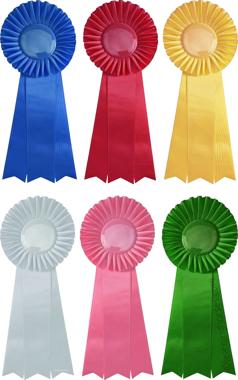 🏆 Horse Show Ribbons: What Each Color Means | LearningHorses.com