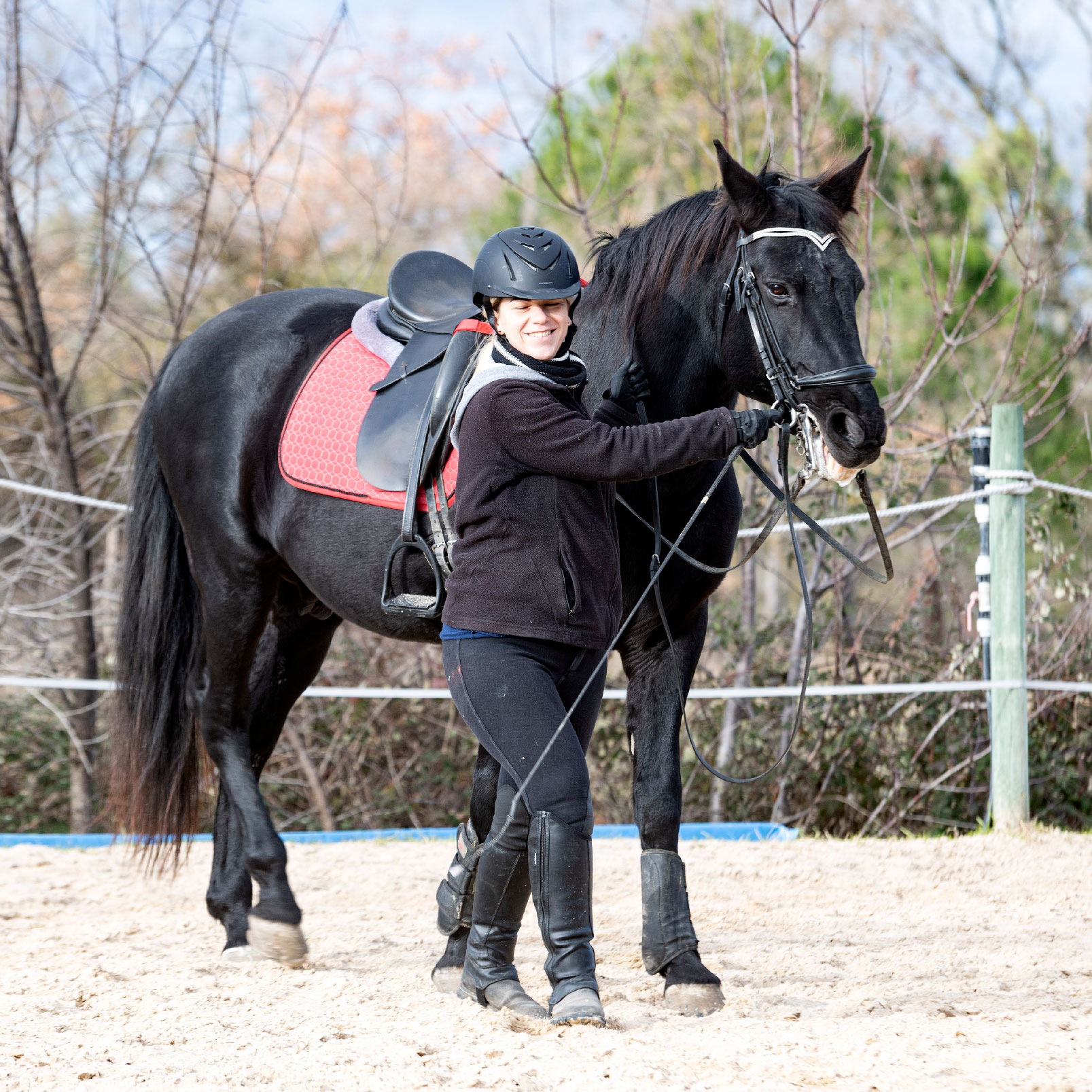 Free Printable Horse Resources & Stable Organizers | LearningHorses.com